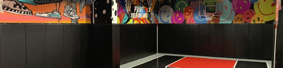 Vinyl Gym Wall Padding & Mats for Schools, Home & Business