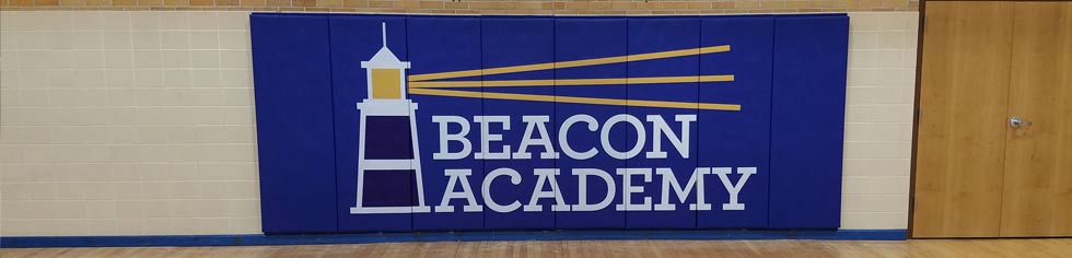 Vinyl Gym Wall Padding & Mats for Schools, Home & Business