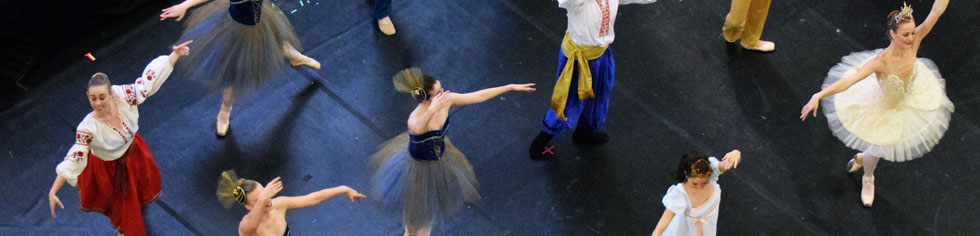 Portable Dance Floors, Tiles and Marley Rolls for Events & Hotel