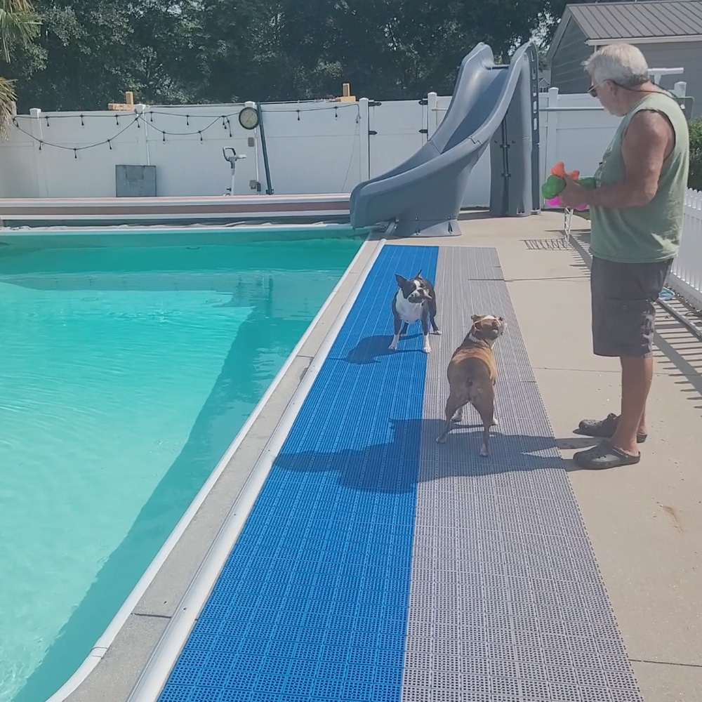 Safe and Comfortable Pool Surrounds for People and Pets