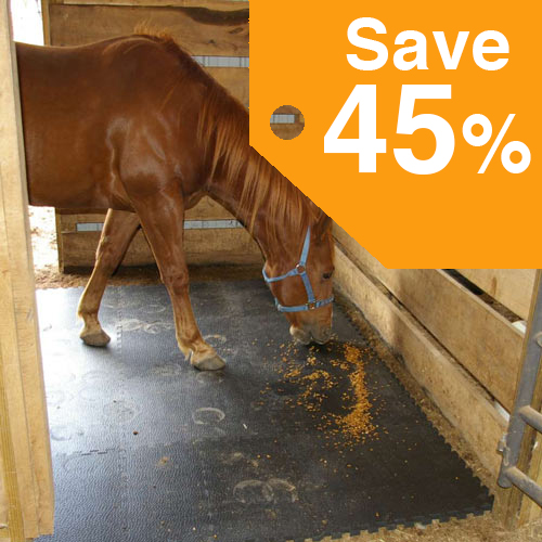 Interlocking Portable Horse Stall Mats 3/4 Inch x 2x2 Ft.