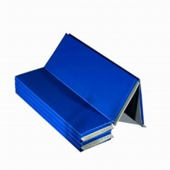 Panel Mats - Vinyl Covered Exercise Mats and Wall Padding