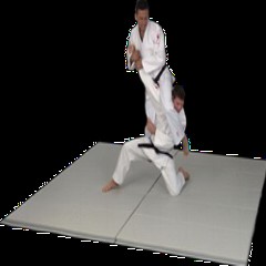 BJJ Mats for Home Training - Wrestling & Judo Flooring
